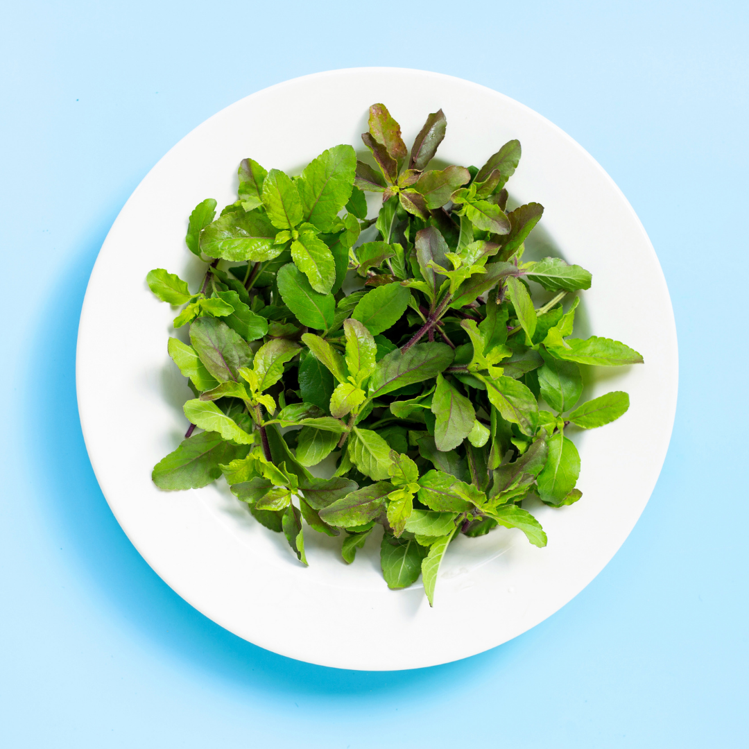 A guide to everything you should know about Tulsi – Tipson Tea